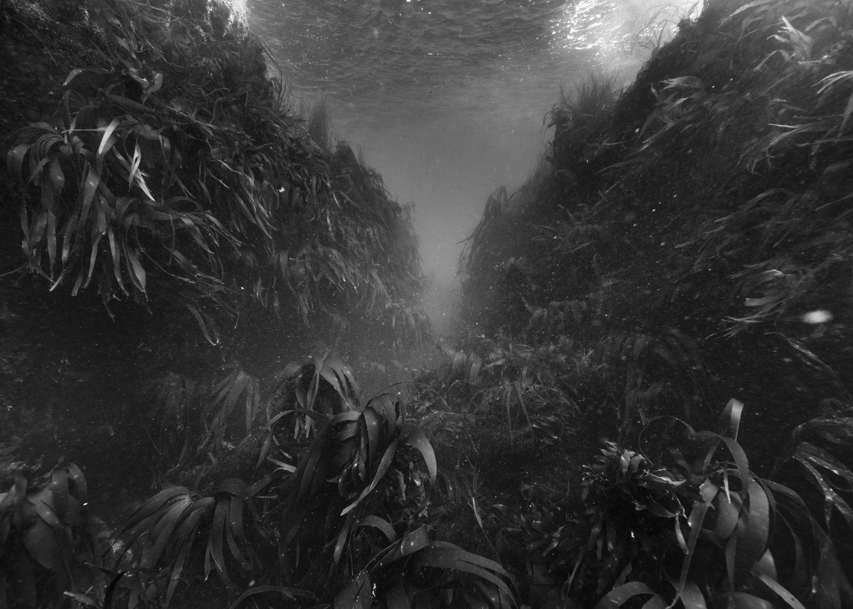 artconnexion – Nicolas Floc'h: Initium Maris